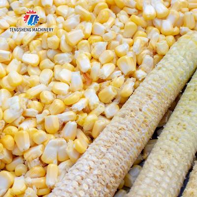 중국 최종 제품 X를 위한 과일과 채소 가공 라인 판매용