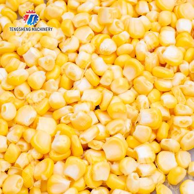 중국 최종 제품 X를 위한 과일과 채소 가공 라인 판매용