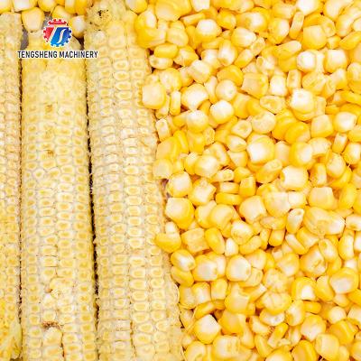 중국 최종 제품 X를 위한 과일과 채소 가공 라인 판매용