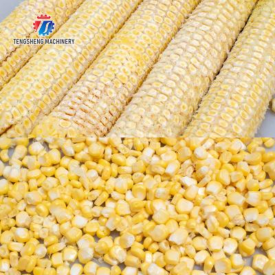 중국 최종 제품 X를 위한 과일과 채소 가공 라인 판매용