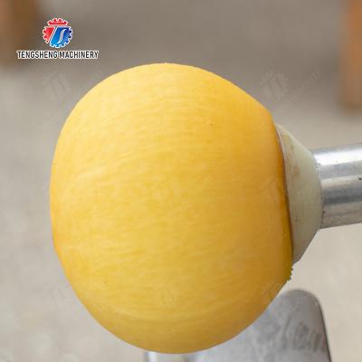 중국 2025년 최종 제품 X 과일 및 채소 가공 라인 (과일 및 채소 가공용) 판매용