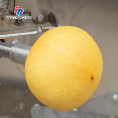 중국 2025년 최종 제품 X 과일 및 채소 가공 라인 (과일 및 채소 가공용) 판매용