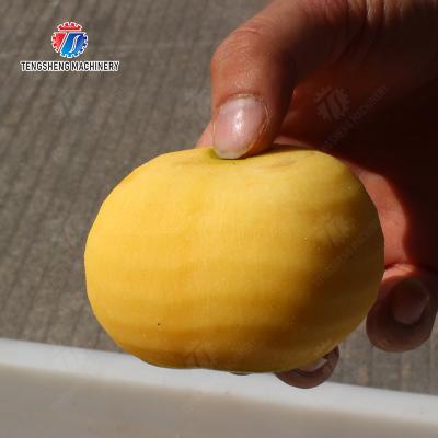 중국 2025년 최종 제품 X 과일 및 채소 가공 라인 (과일 및 채소 가공용) 판매용