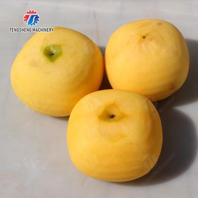 중국 2025년 최종 제품 X 과일 및 채소 가공 라인 (과일 및 채소 가공용) 판매용