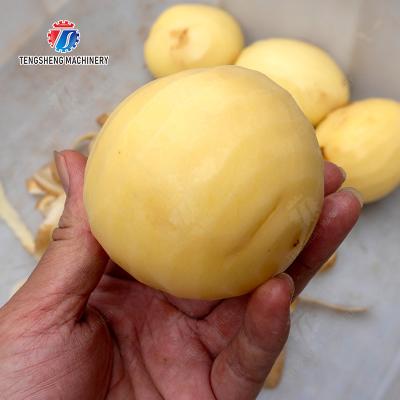 중국 2025년 최종 제품 X 과일 및 채소 가공 라인 (과일 및 채소 가공용) 판매용