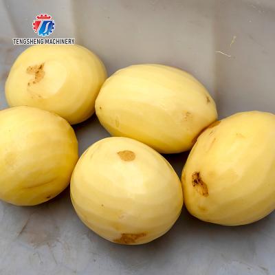 중국 2025년 최종 제품 X 과일 및 채소 가공 라인 (과일 및 채소 가공용) 판매용