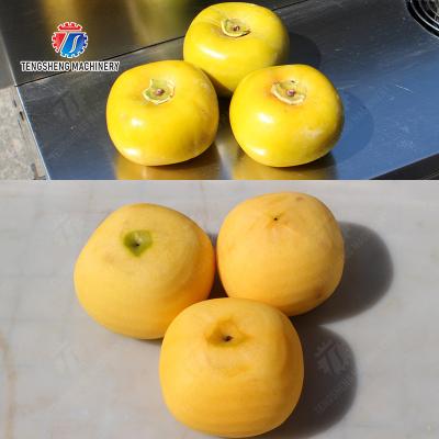 중국 2025년 최종 제품 X 과일 및 채소 가공 라인 (과일 및 채소 가공용) 판매용