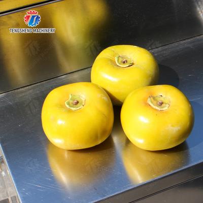 중국 2025년 최종 제품 X 과일 및 채소 가공 라인 (과일 및 채소 가공용) 판매용