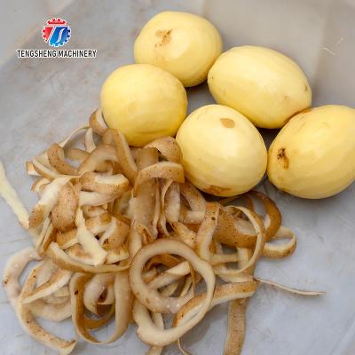 중국 2025년 최종 제품 X 과일 및 채소 가공 라인 (과일 및 채소 가공용) 판매용