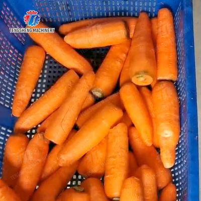 중국 당근 필링 기계 판매용