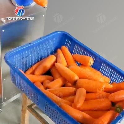 중국 당근 필링 기계 판매용