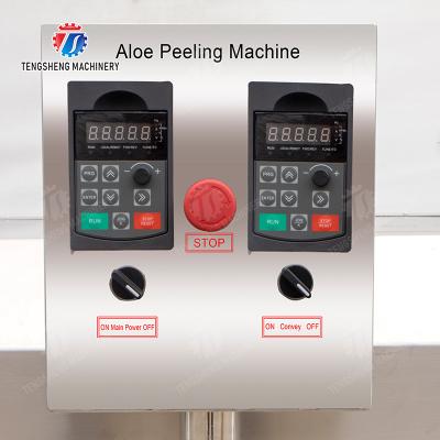 중국 알로에 필링 머신 가공 생산 필링 머신 판매용