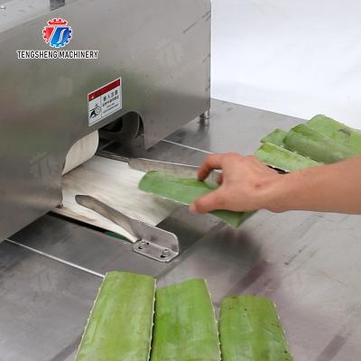 중국 알로에 필링 머신 가공 생산 필링 머신 판매용