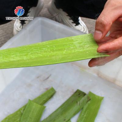 중국 알로에 필링 머신 가공 생산 필링 머신 판매용