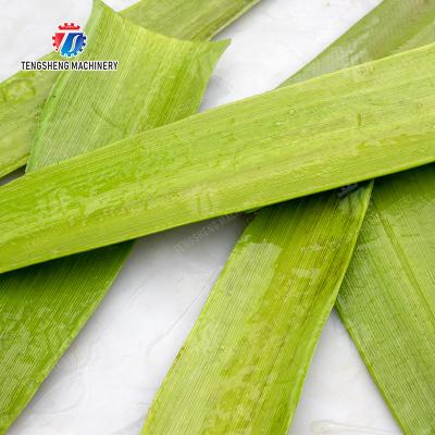 중국 알로에 필링 머신 가공 생산 필링 머신 판매용