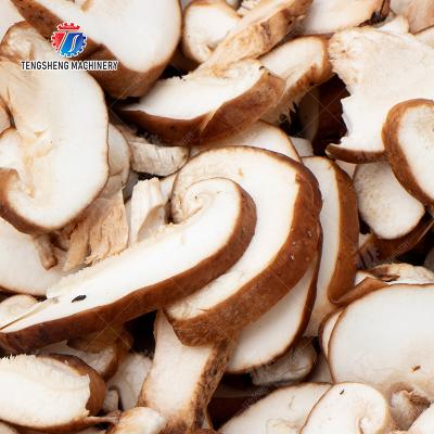 중국 버섯 썰기 시타케 버섯 절단 가공 생산 기계 판매용