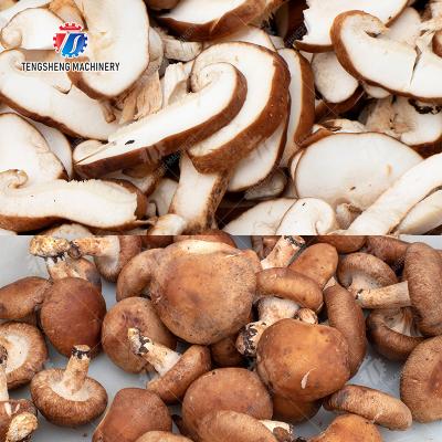 중국 버섯 썰기 시타케 버섯 절단 가공 생산 기계 판매용