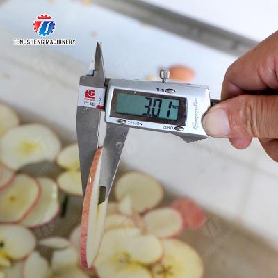 Cina Macchina per patatine su larga scala Mela Banana Patata Carota Taro Patate e tuberi rotondi Carote e ortaggi a radice longitudinali Cipolle Taglio patatine fritte Patatine di patate a scaglie Hash brown in vendita