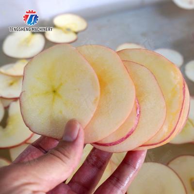 Cina Macchina per patatine su larga scala Mela Banana Patata Carota Taro Patate e tuberi rotondi Carote e ortaggi a radice longitudinali Cipolle Taglio patatine fritte Patatine di patate a scaglie Hash brown in vendita