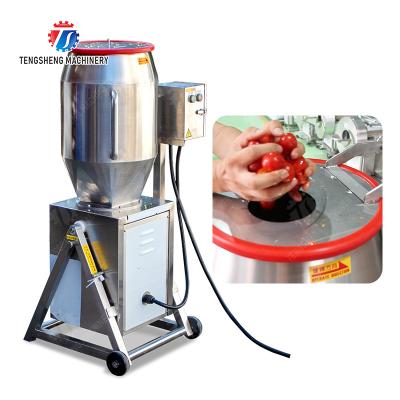 China Saiko Persimmon Apfel Ingwer Chili Zwiebel Knoblauch Hackfleisch Hackfleisch Schweinefleisch Fruchtsaft Orangensaft Tomatensaft Apfelsaft Sellerisaft Sellerisaft Grünkohlsaft Ingwersaft zu verkaufen