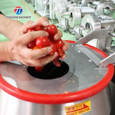 China Saiko Persimmon Apfel Ingwer Chili Zwiebel Knoblauch Hackfleisch Hackfleisch Schweinefleisch Fruchtsaft Orangensaft Tomatensaft Apfelsaft Sellerisaft Sellerisaft Grünkohlsaft Ingwersaft zu verkaufen
