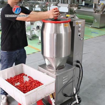 China Saiko Persimmon Apfel Ingwer Chili Zwiebel Knoblauch Hackfleisch Hackfleisch Schweinefleisch Fruchtsaft Orangensaft Tomatensaft Apfelsaft Sellerisaft Sellerisaft Grünkohlsaft Ingwersaft zu verkaufen
