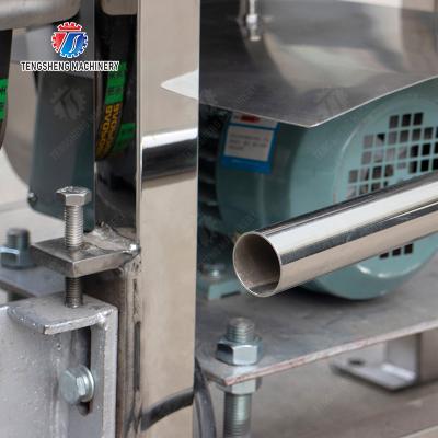 Cina Frutta ortaggi Celere Succo di cavolo Succo di cavolo Succo di spinaci Succo di prugne di ciliegie selvatiche Estrattore di succo a spirale in vendita