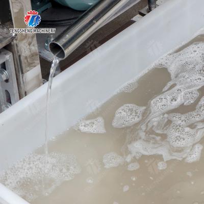 Cina Frutta ortaggi Celere Succo di cavolo Succo di cavolo Succo di spinaci Succo di prugne di ciliegie selvatiche Estrattore di succo a spirale in vendita