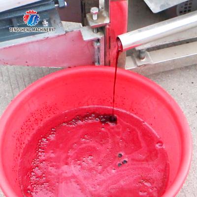 Cina Frutta ortaggi Celere Succo di cavolo Succo di cavolo Succo di spinaci Succo di prugne di ciliegie selvatiche Estrattore di succo a spirale in vendita