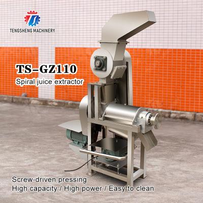 Cina Frutta ortaggi Celere Succo di cavolo Succo di cavolo Succo di spinaci Succo di prugne di ciliegie selvatiche Estrattore di succo a spirale in vendita