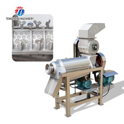 Cina Estrattoio di succo a spirale Frutta Verdura Selleria Succo di cavolo Cavolo Succo di spinaci Succo di prugne di ciliegie selvatiche in vendita