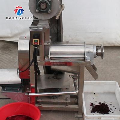Cina Estrattoio di succo a spirale Frutta Verdura Selleria Succo di cavolo Cavolo Succo di spinaci Succo di prugne di ciliegie selvatiche in vendita