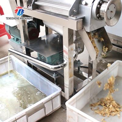 Cina Estrattoio di succo a spirale Frutta Verdura Selleria Succo di cavolo Cavolo Succo di spinaci Succo di prugne di ciliegie selvatiche in vendita