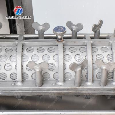 Cina Estrattoio di succo a spirale Frutta Verdura Selleria Succo di cavolo Cavolo Succo di spinaci Succo di prugne di ciliegie selvatiche in vendita