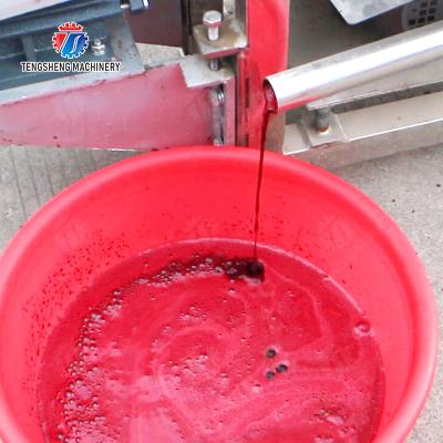 Cina Estrattoio di succo a spirale Frutta Verdura Selleria Succo di cavolo Cavolo Succo di spinaci Succo di prugne di ciliegie selvatiche in vendita