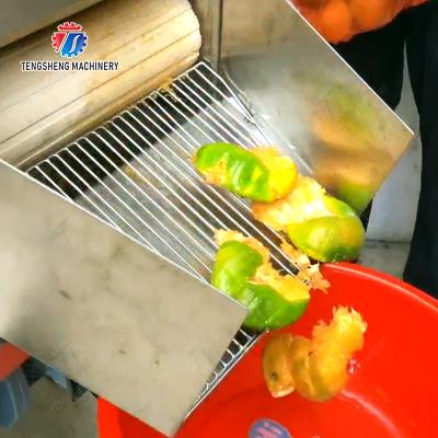 China Zumo de fruta de pasión mandarina Zumo de limón Maquina exprimidora zumo de frutas zumo de naranja apio col rizado zumo de jengibre zumo de limón zumo de fresa zumo de mango zumo de toronja zumo de kiwi zumo de frutas zumo de espinacas en venta