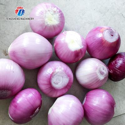 中国 洋?? の皮を剥ぐ機械 洋?? のニンニク 洋?? の加工生産ライン 販売のため