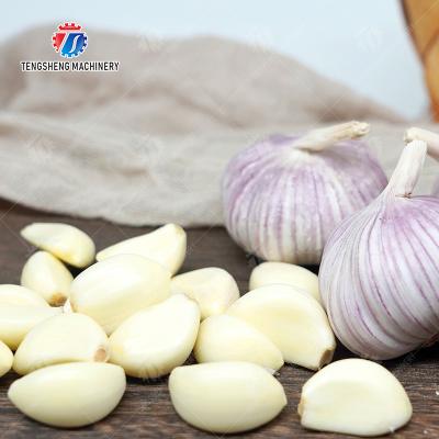 中国 当社の果物と野菜加工機器で最高の成果を 販売のため