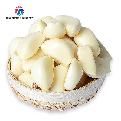 中国 当社の果物と野菜加工機器で最高の成果を 販売のため