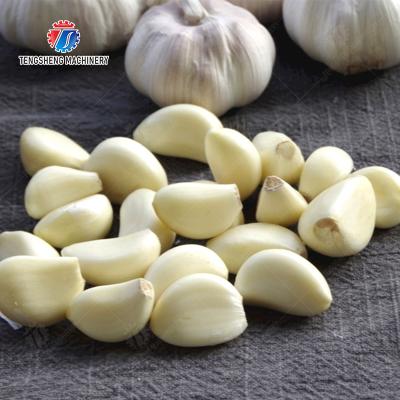 中国 当社の果物と野菜加工機器で最高の成果を 販売のため