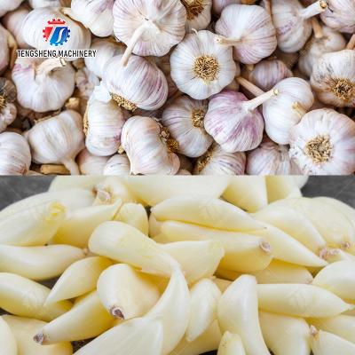 中国 当社の果物と野菜加工機器で最高の成果を 販売のため
