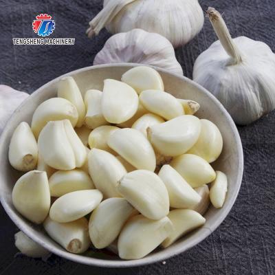 中国 当社の果物と野菜加工機器で最高の成果を 販売のため
