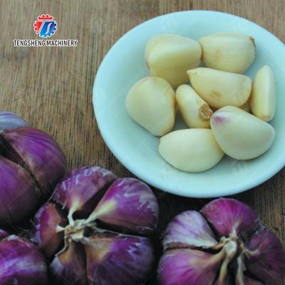 中国 当社の果物と野菜加工機器で最高の成果を 販売のため
