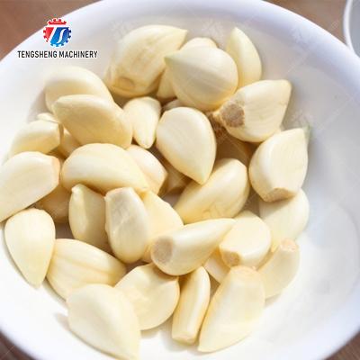 中国 当社の果物と野菜加工機器で最高の成果を 販売のため