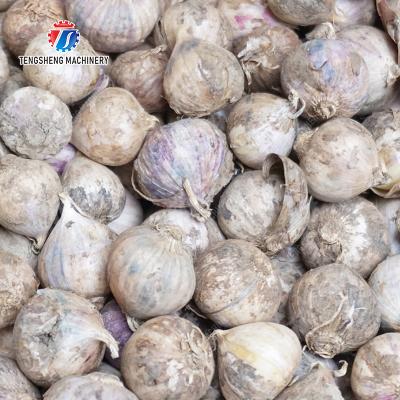 中国 当社の果物と野菜加工機器で最高の成果を 販売のため