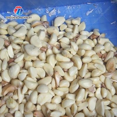 中国 当社の果物と野菜加工機器で最高の成果を 販売のため
