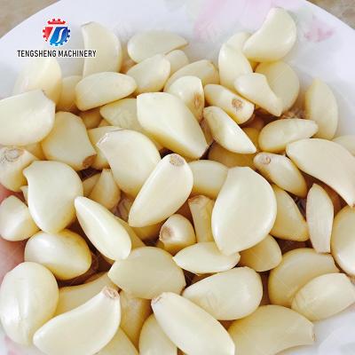 中国 当社の果物と野菜加工機器で最高の成果を 販売のため