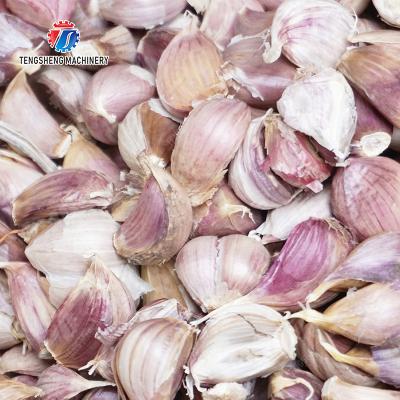 中国 当社の果物と野菜加工機器で最高の成果を 販売のため