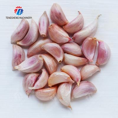 中国 当社の果物と野菜加工機器で最高の成果を 販売のため