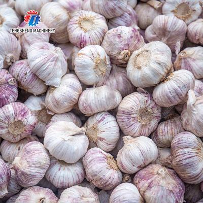 中国 当社の果物と野菜加工機器で最高の成果を 販売のため